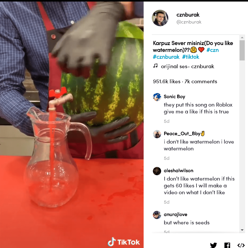 TikTok’s Current Disinformation of Choice Is Fake Hacks – Hapgood